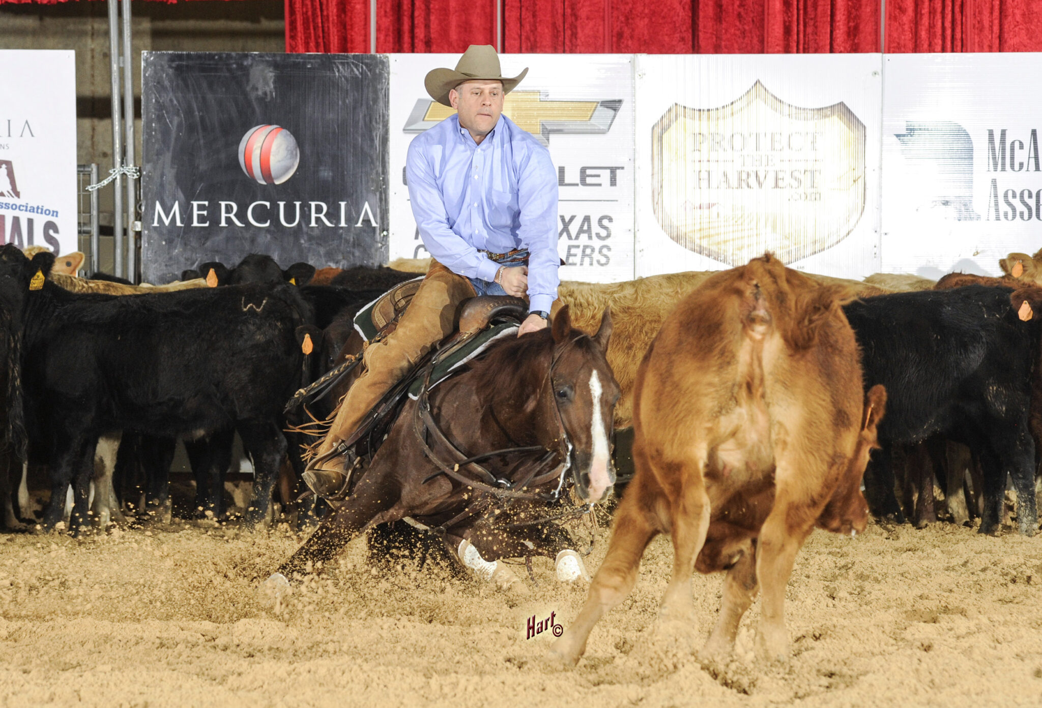 Performance - Rapp Ranch